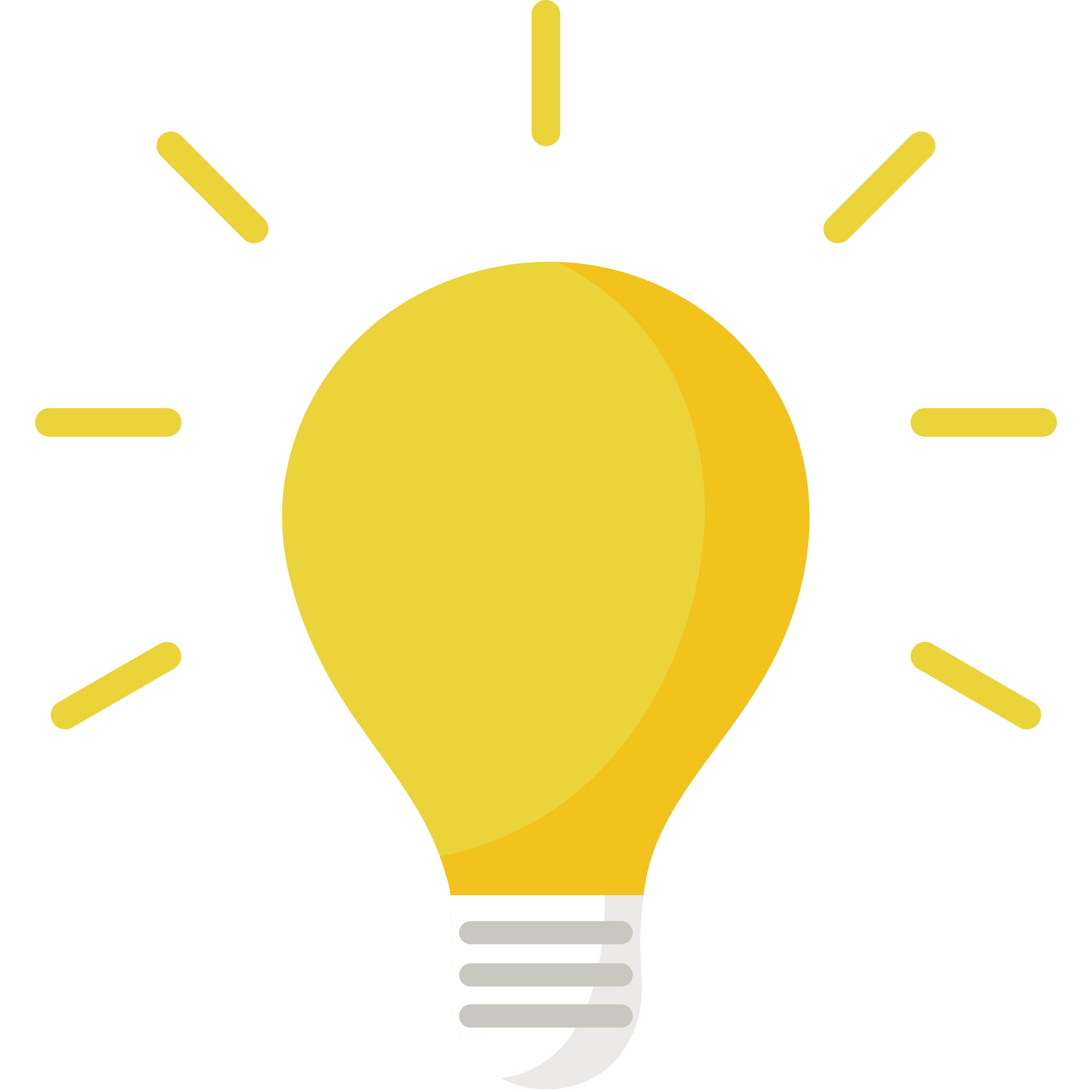 Nursing Perspective™ – The Nursing Perspective